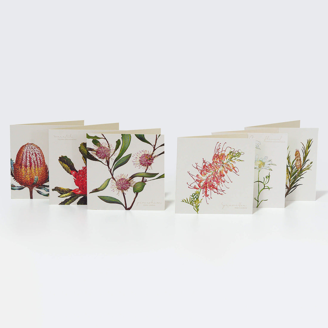 Boxed Greeting Cards – Bell Art