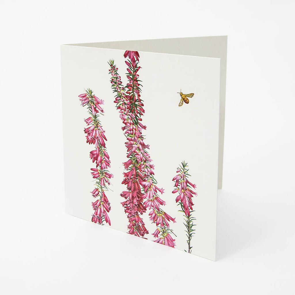 Floral Emblem of Victoria Common Heath Card Stationery