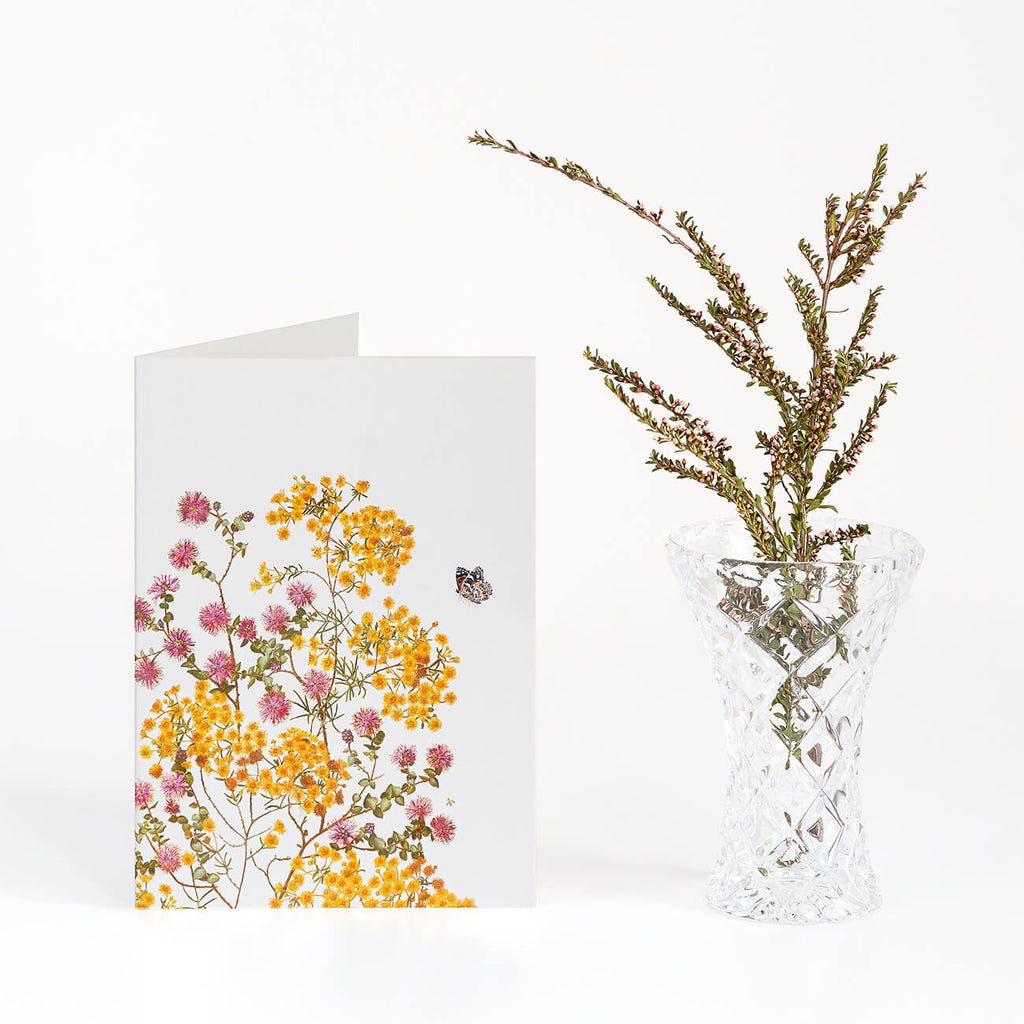 Woodlands Greeting Card - Morrison & Melaleuca | All Products Available ...